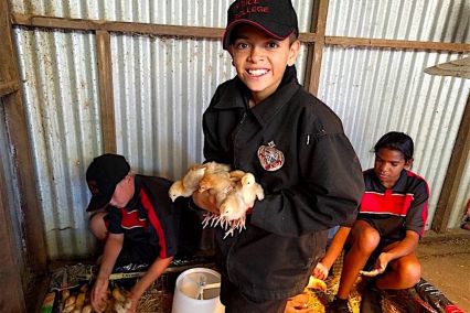 Australian Schools Directory